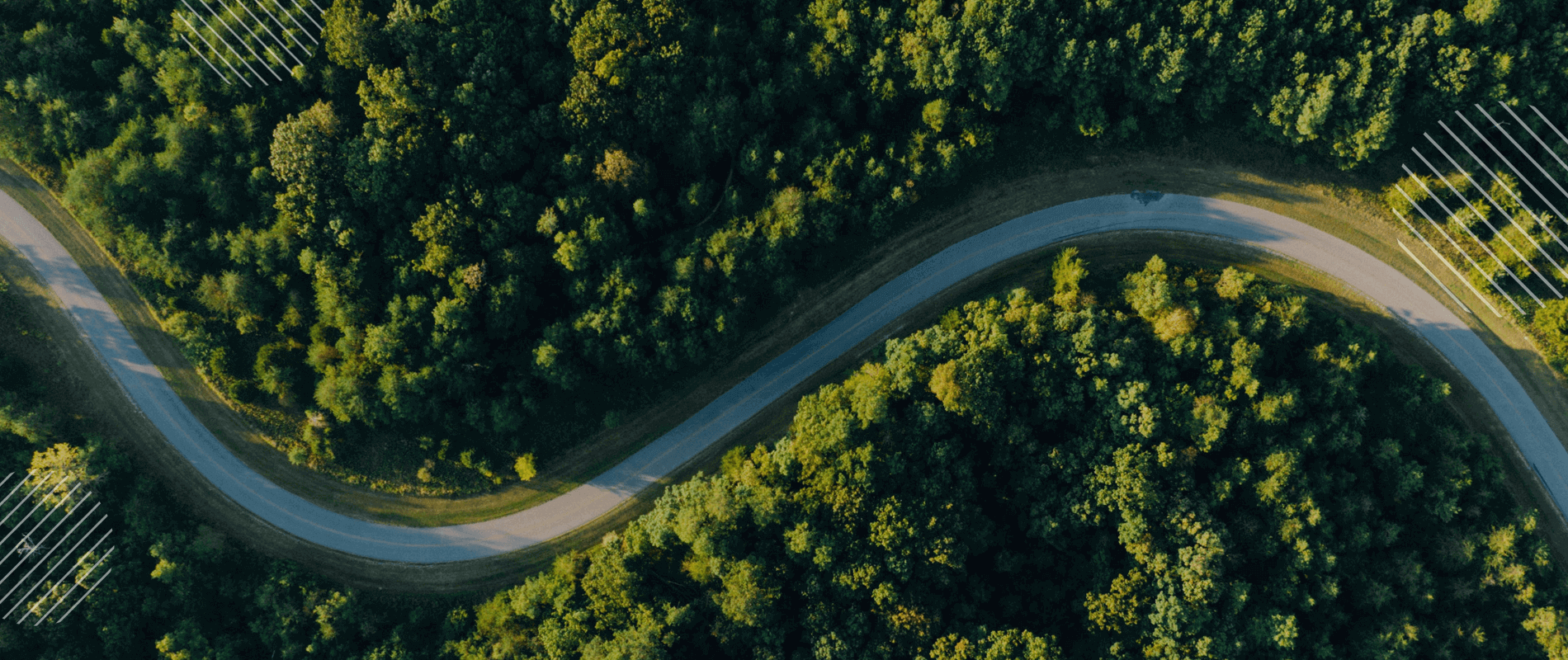 The Five Key Principles of Insight Activation